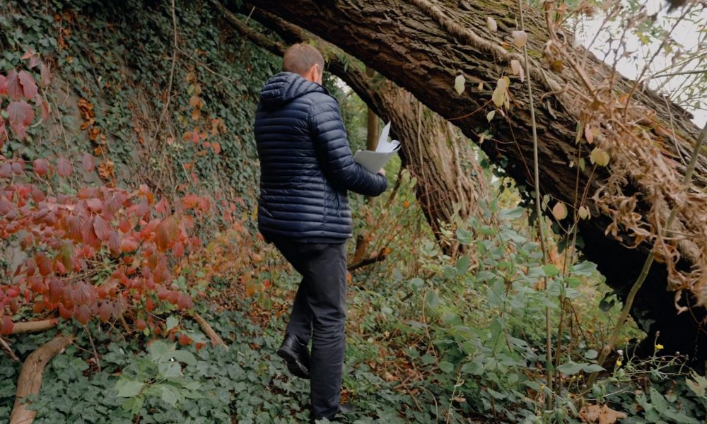 Arborii de pe fosta platformă Carbochim și malul Someșului, unde se ...